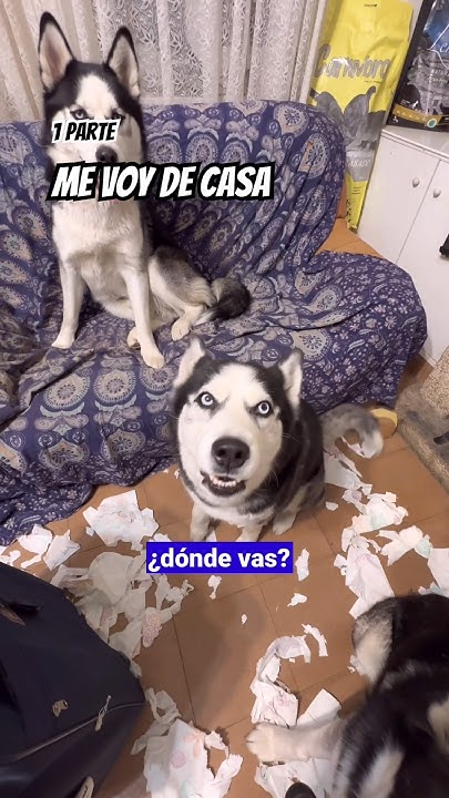 Me voy de casa (1 parte) - YouTube