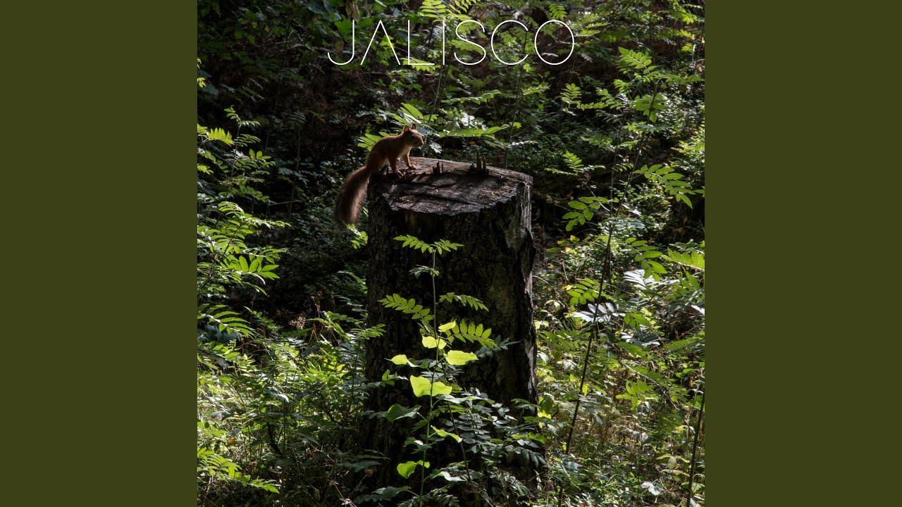 Jalisco - YouTube Music