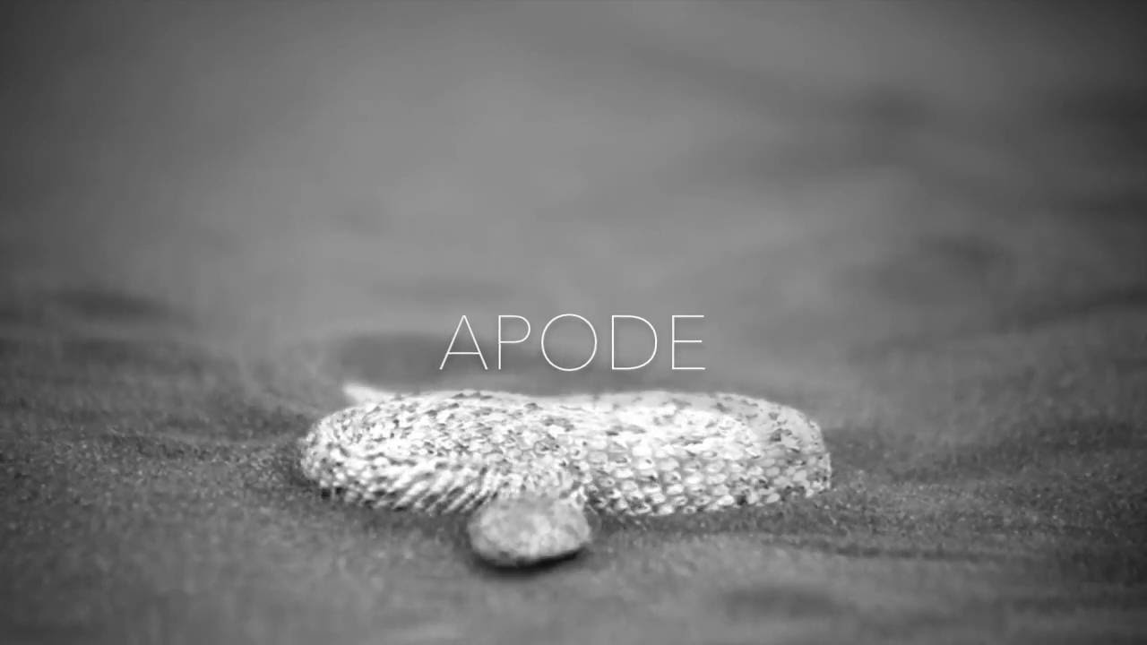 Houstones - Apode - YouTube