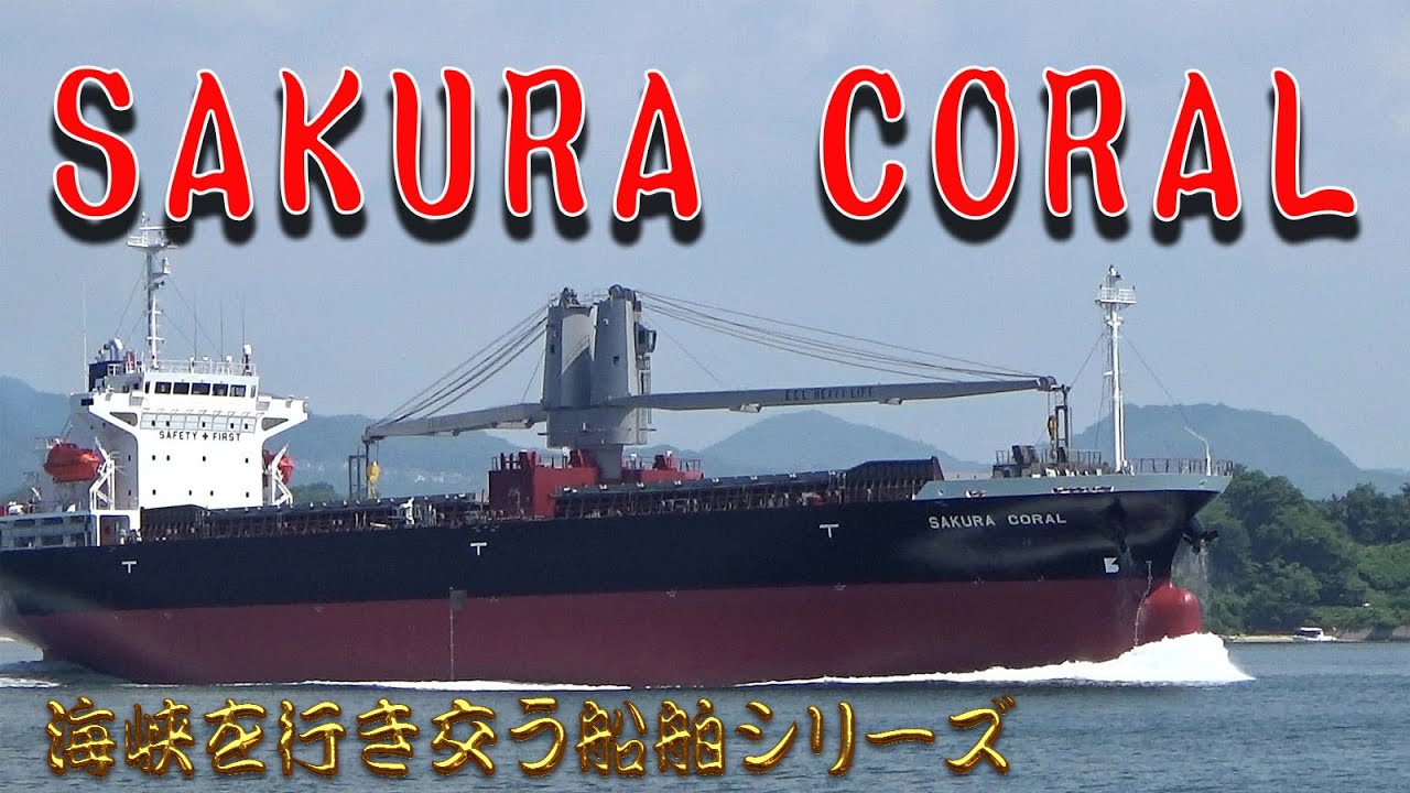 SAKURA CORAL - YouTube