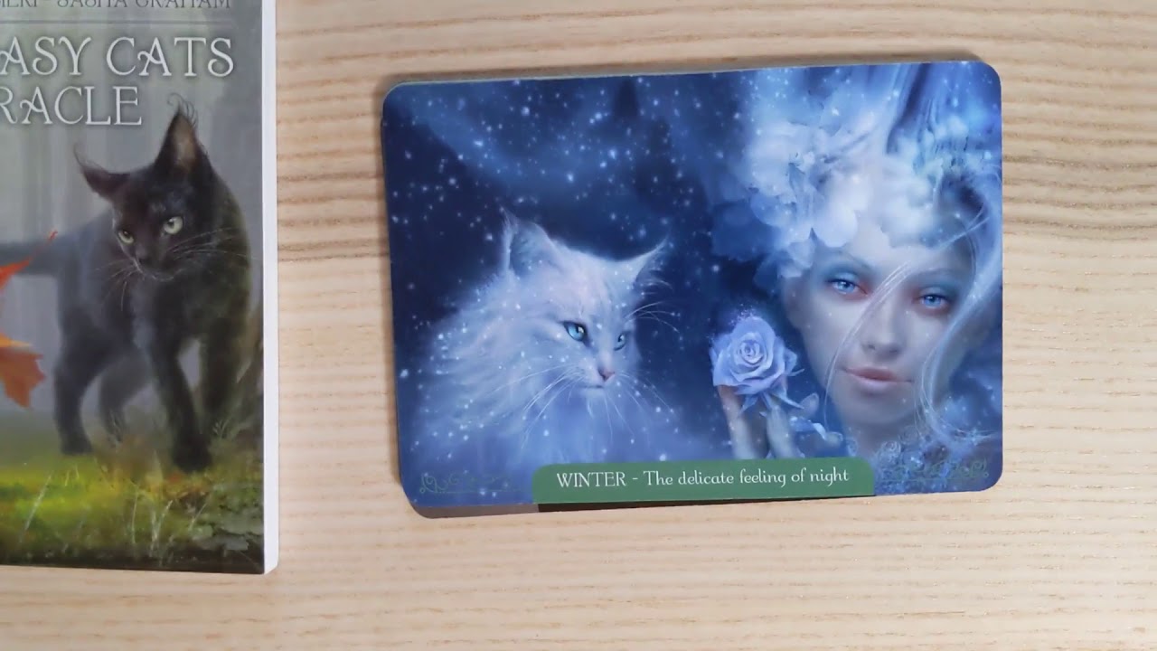 Fantasy Cats Oracle! Unboxing and first look - YouTube