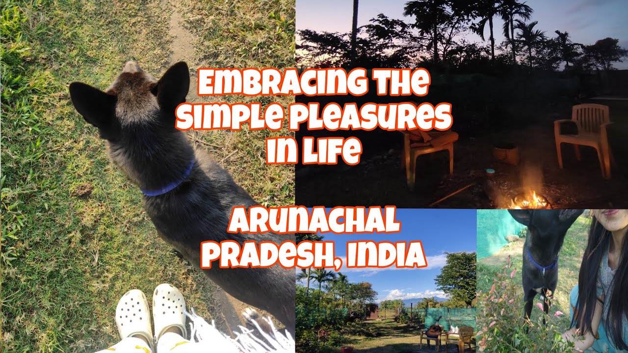 Embracing the simple pleasures in life🍂🌼..#simple life, # ...