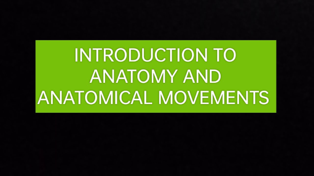 INTRODUCTION TO ANATOMY FOR PARAMEDICAL DMIT DMLT DMRD DHI DOT - YouTube