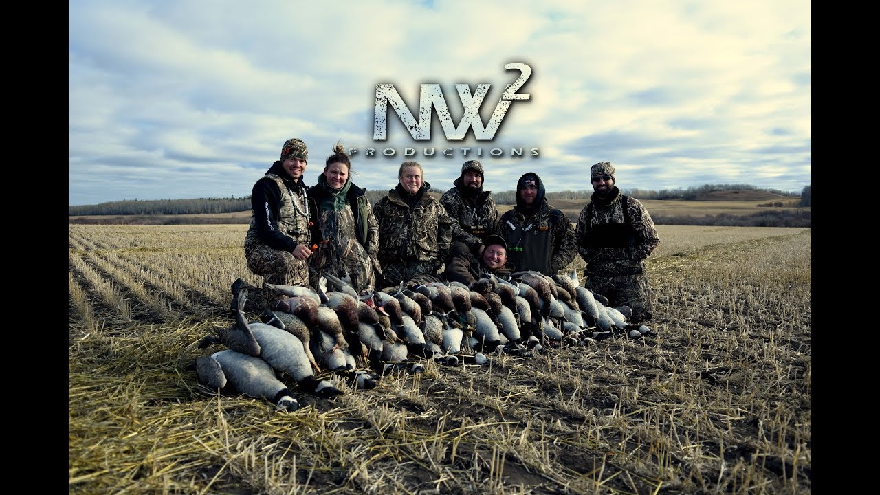 Manitoba - Duck Hunting - North Wind Waterfowl - YouTube