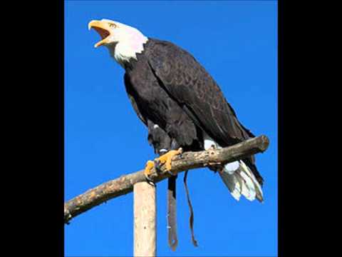 el aguilon-felipe - YouTube