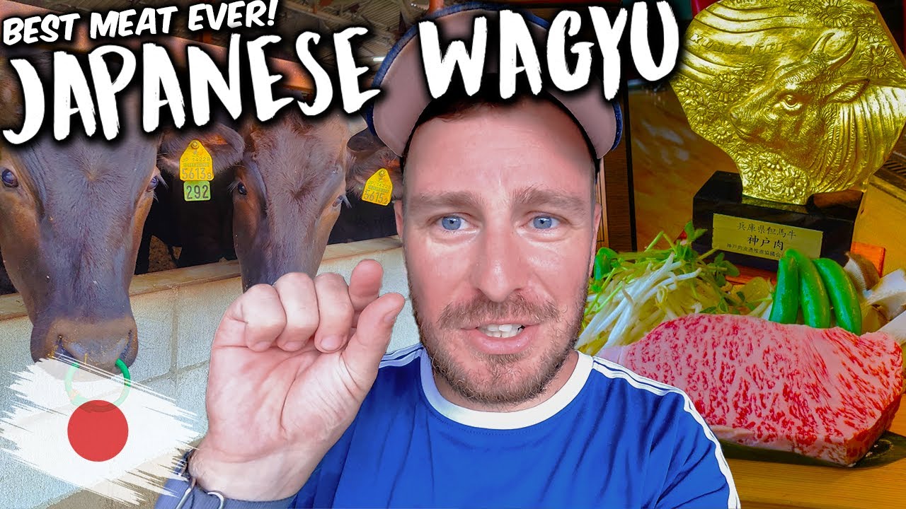 INSIDE A RARE Japanese Wagyu Farm 🇯🇵 - YouTube