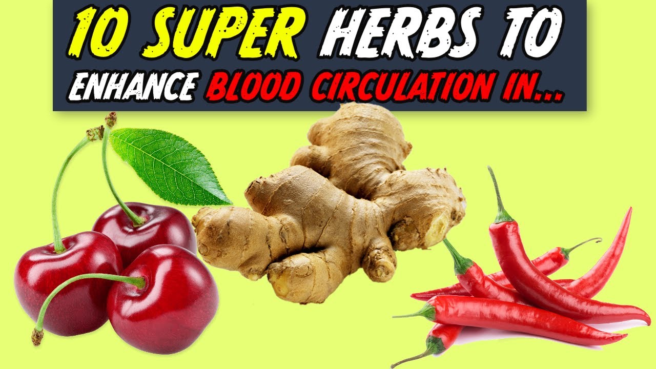 10 Super Herbs To Enhance Blood Circulation In Legs And Feet | Amazing ...