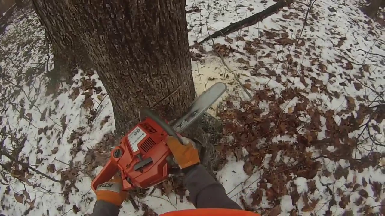 Widow Maker in woods on Christmas 2016 - YouTube