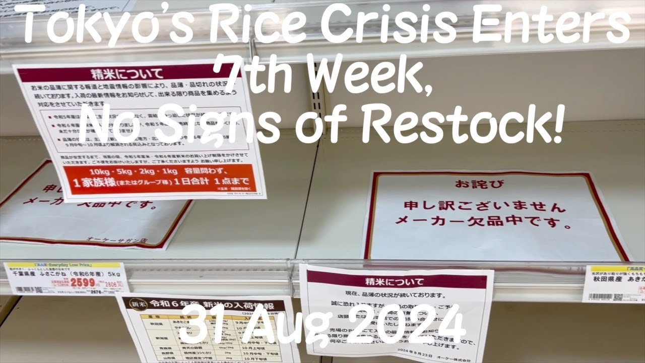 Tokyo's Rice Crisis Enters 7th Week, No Signs of Restock! 20240831 # ...