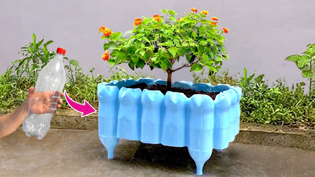 Creative ideas from cement | DIY beautiful flower pots at home - YouTube