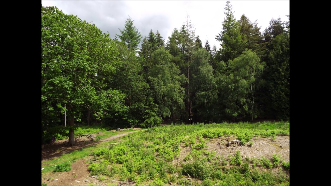 Nesscliffe Hill Camp Iron Age Fort - YouTube
