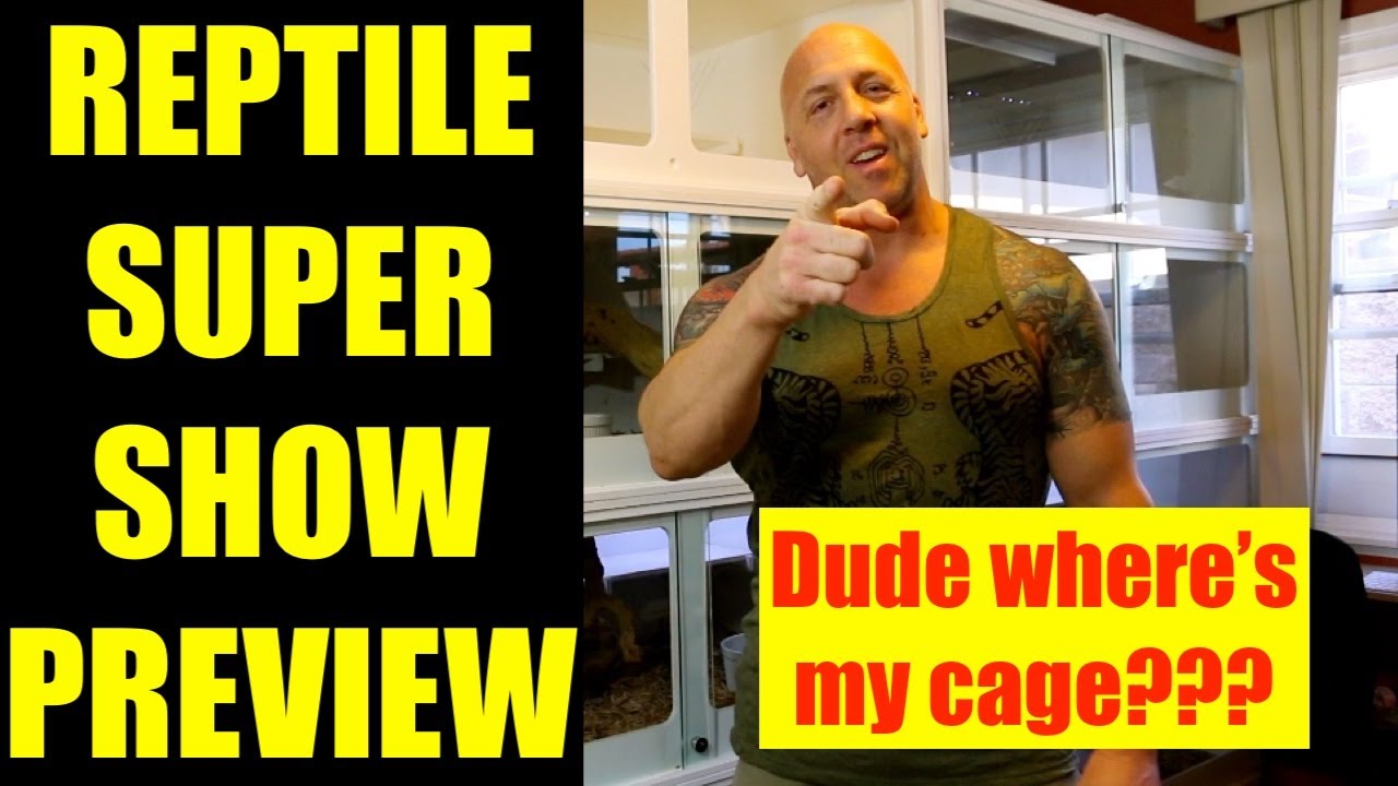 REPTILE SUPER SHOW PREVIEW | NEW AP CAGE - YouTube