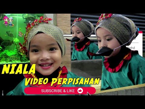 Joget Penguin Dance 🐧 Perpisahan Niala Seru - Lifia Niala