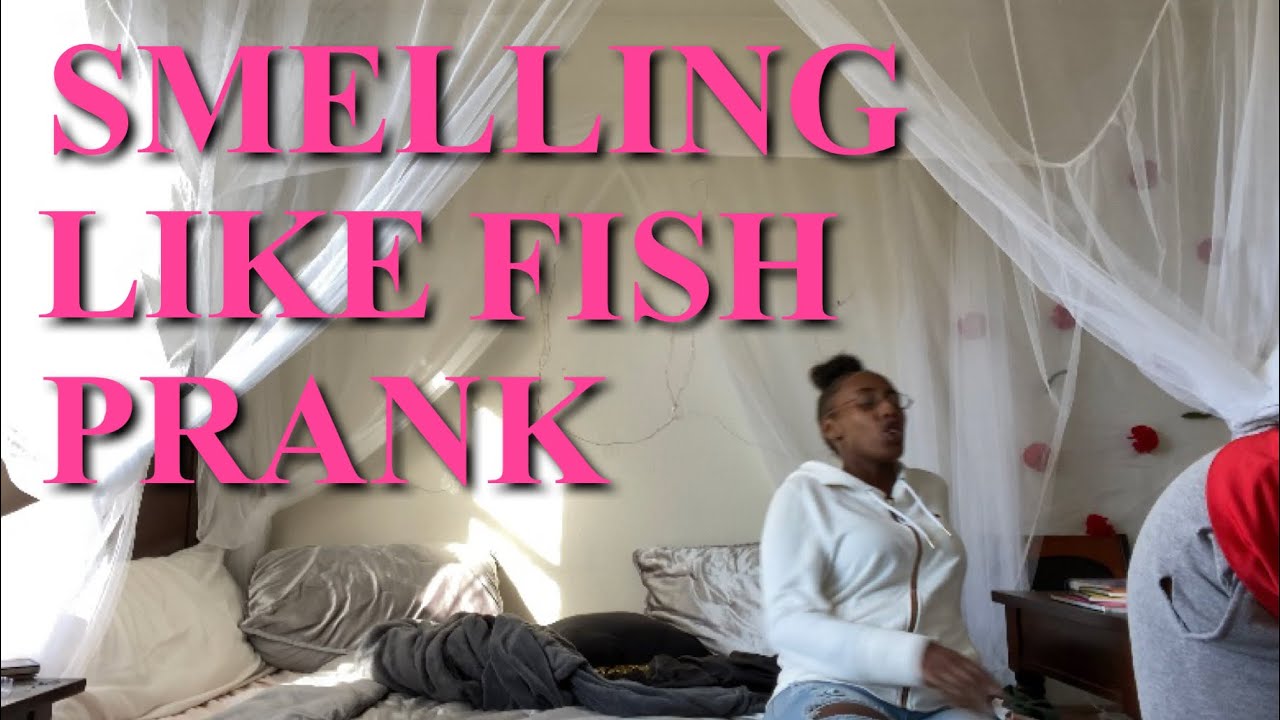 SMELLING LIKE FISH PRANK - LOYALTY TEST! SHE’S RUDE!!! 🤣 - YouTube