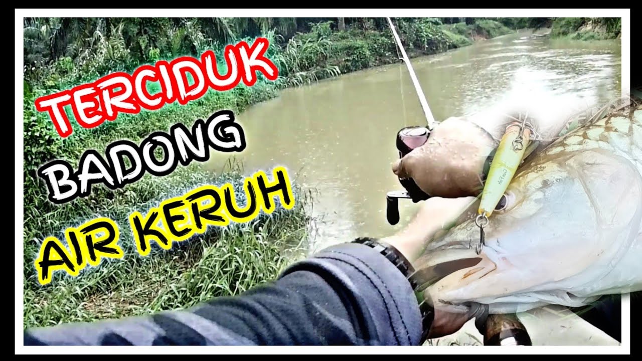 IKAN SEBARAU AIR KERUH lucky craft gunfish - YouTube