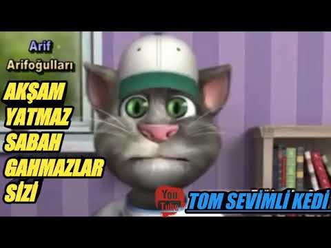 Şimdi gelinler