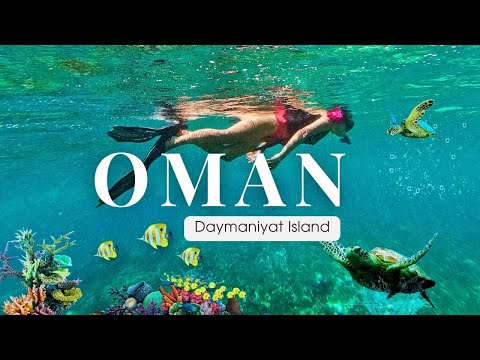 Daymaniyat Island - Oman's Best Kept Secret | Talkin travel
