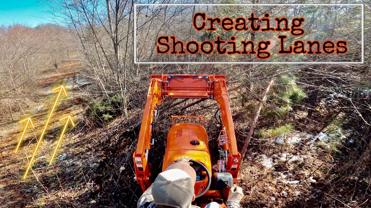 Improve Your Hunting Land | Clearing Shooting Lanes & Removing Cedars ...