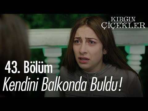 Emel'in korkunç planı! - Kırgın Çiçekler 43. Bölüm
