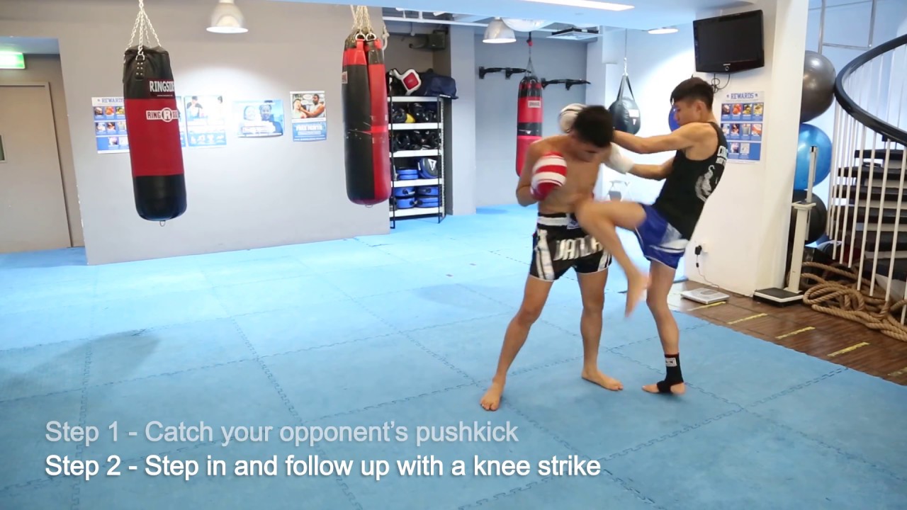 Vanda Boxing Club Quick Hits – Muay Thai Ep. 45 – Catch a push kick and ...
