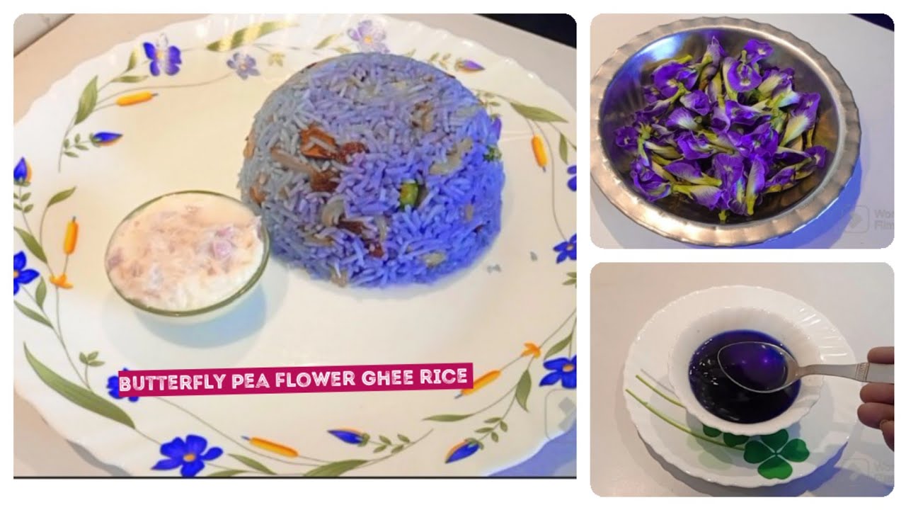 Butterfly Pea Flower Ghee Rice/Healthy Blue Ghee Rice/Blue Rice#recipe ...