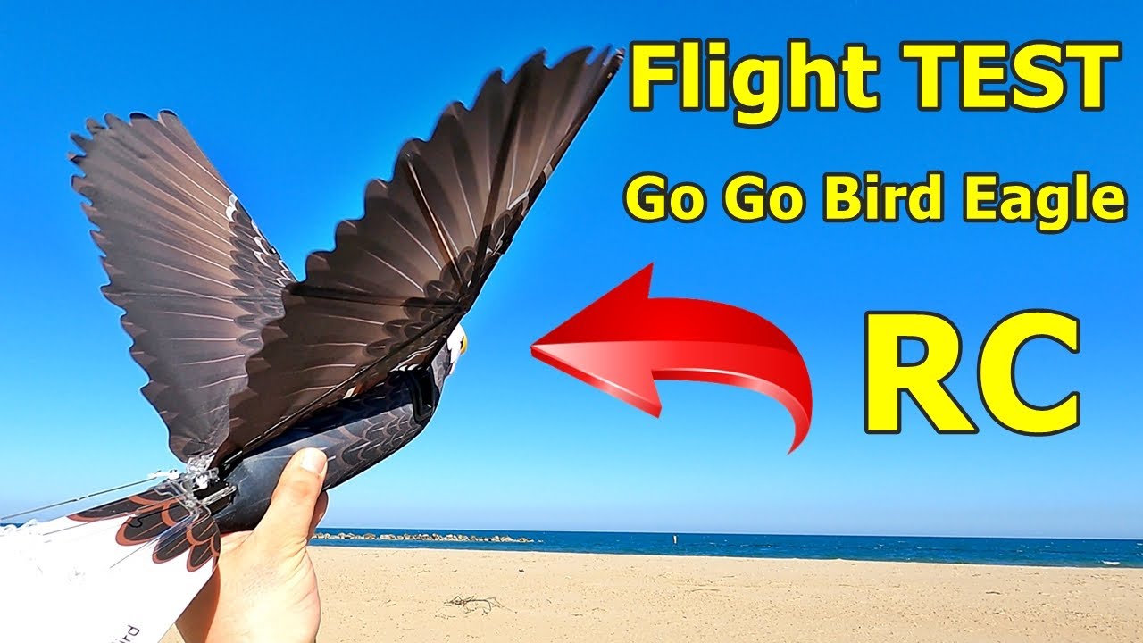 Go Go Bird Eagle 1020 Unboxing Flight Test RC Fantastic flying Bird ...