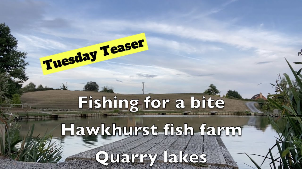 🚨first time at hawkhurst fish farm, 12hr on quarry trailer EPIC day 🚨 ...