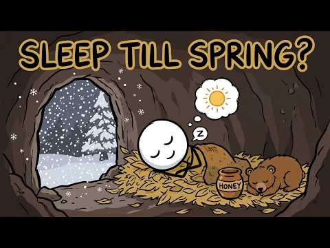 What If Humans Could Hibernate - The Economy Would Break  ??