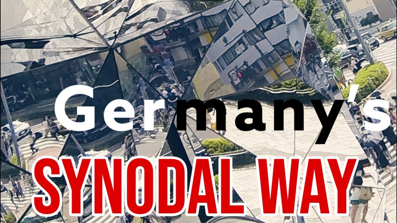 Synodal Way in Germany - the Issues - YouTube