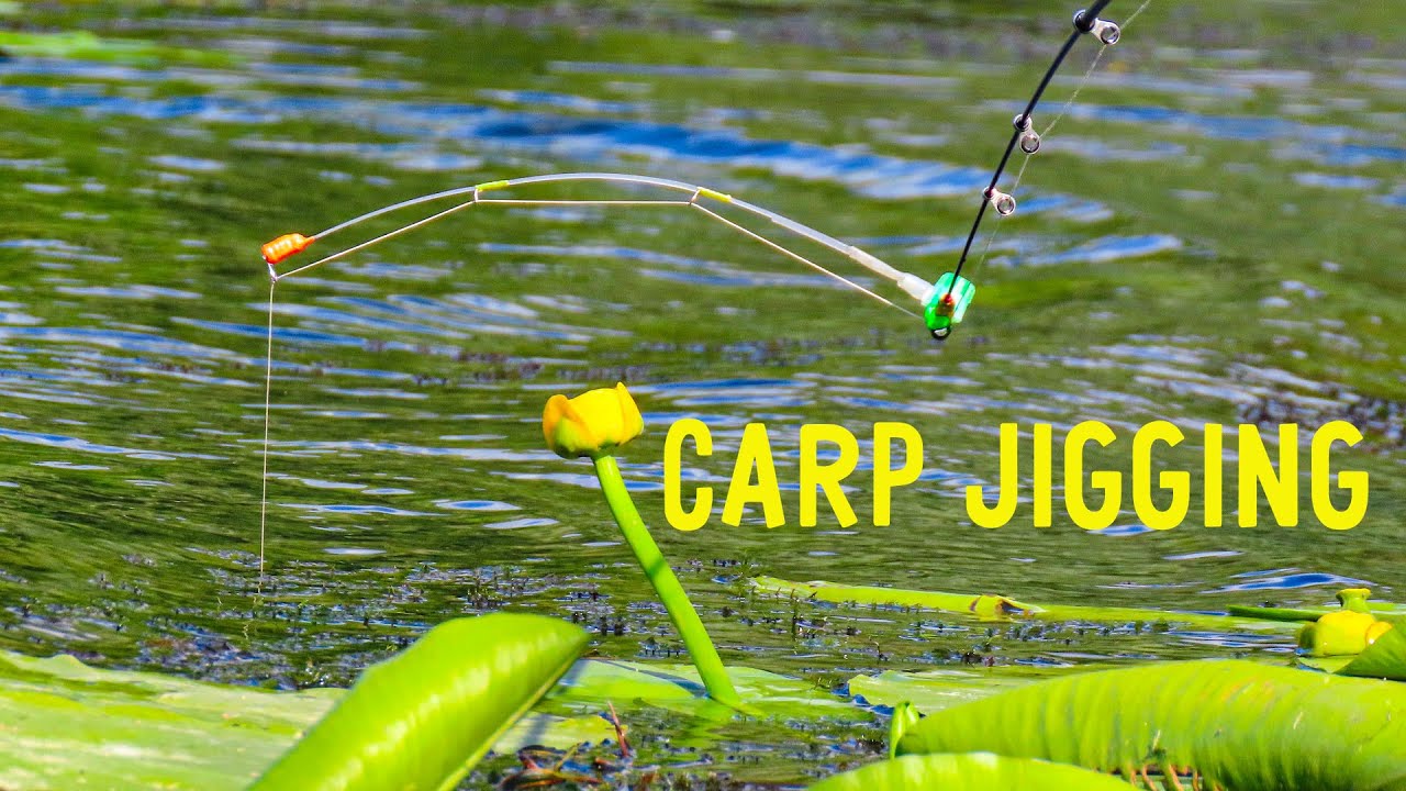 How to catch a carp on a jig ?! - YouTube