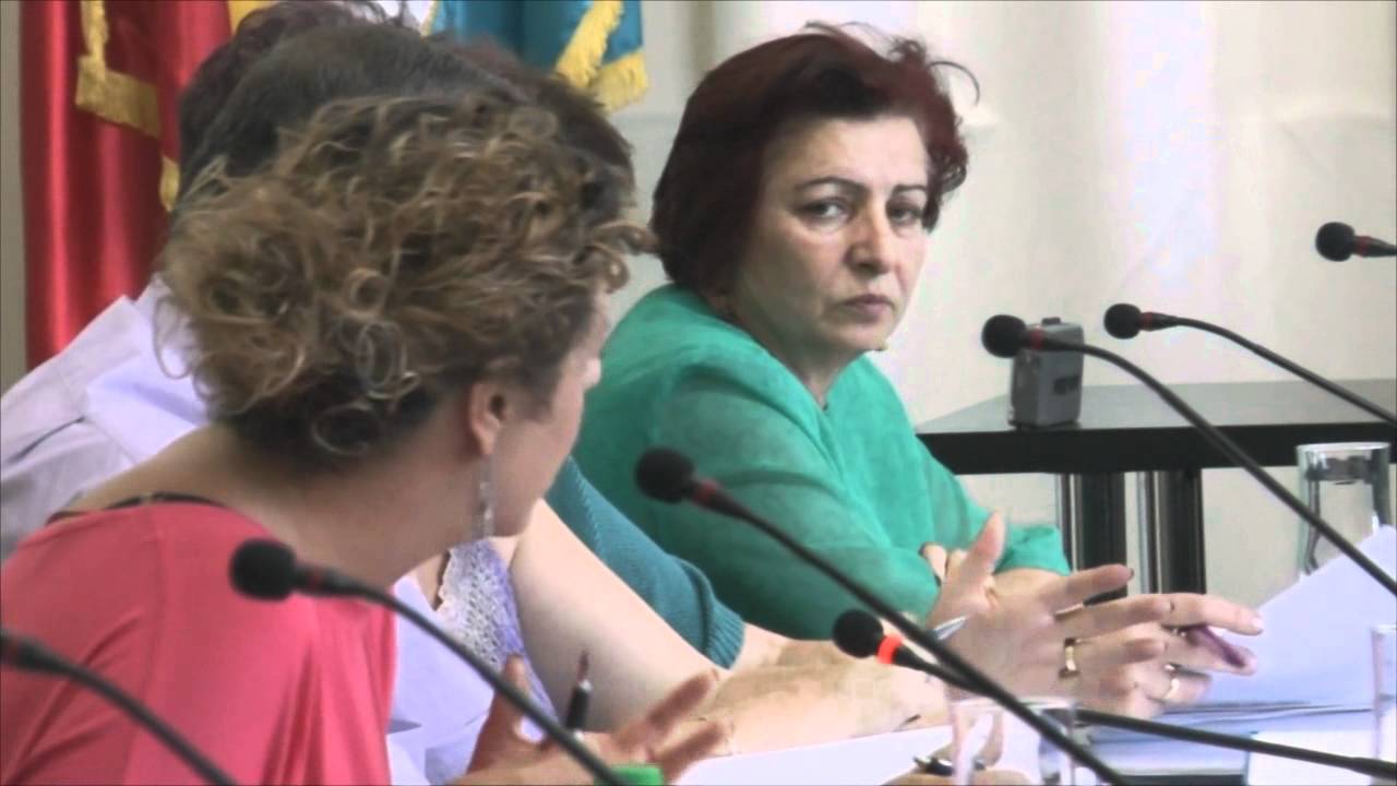 Explicatii ioana roman.wmv - YouTube