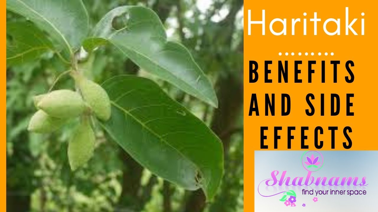 Haritaki increases energy | Use Haritaki to open your third eye. - YouTube