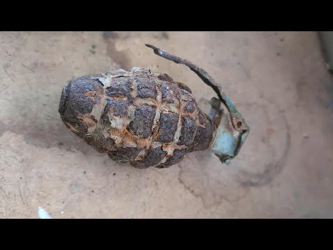 3-Year-Old Walks Into House Carrying Live Grenade