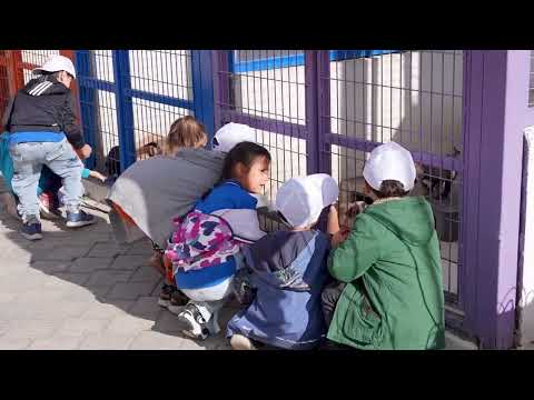 Sokak Hayvanları Barınma ve Rehabilitasyon Merkezi ilçelere yayılıyor