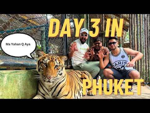 TIGER KINGDOM // Patong Beach, Rang Hil // Agay Kahan Jay 🤔 - YouTube