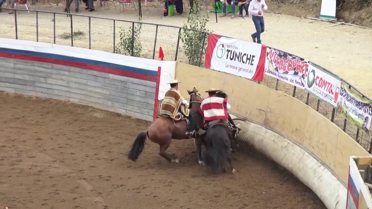 Primera Serie Libre rodeo club Rinconada de Retiro 18 19 enero 2020 ...