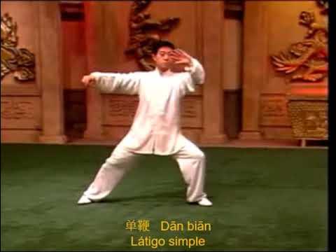 Tai Chi Chen - Forma 18 - Chen Zhenglei - YouTube