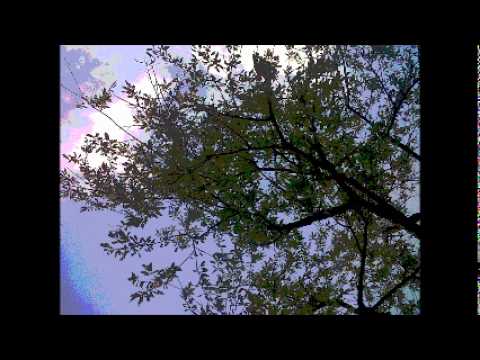 one night to be confused...