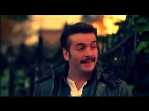Hay gotum