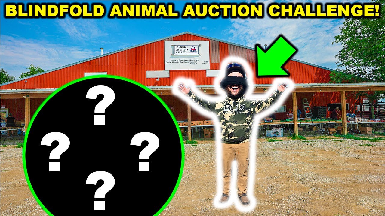Buying BACKYARD FARM Animals from the AUCTION while wearing a BLINDFOLD ...