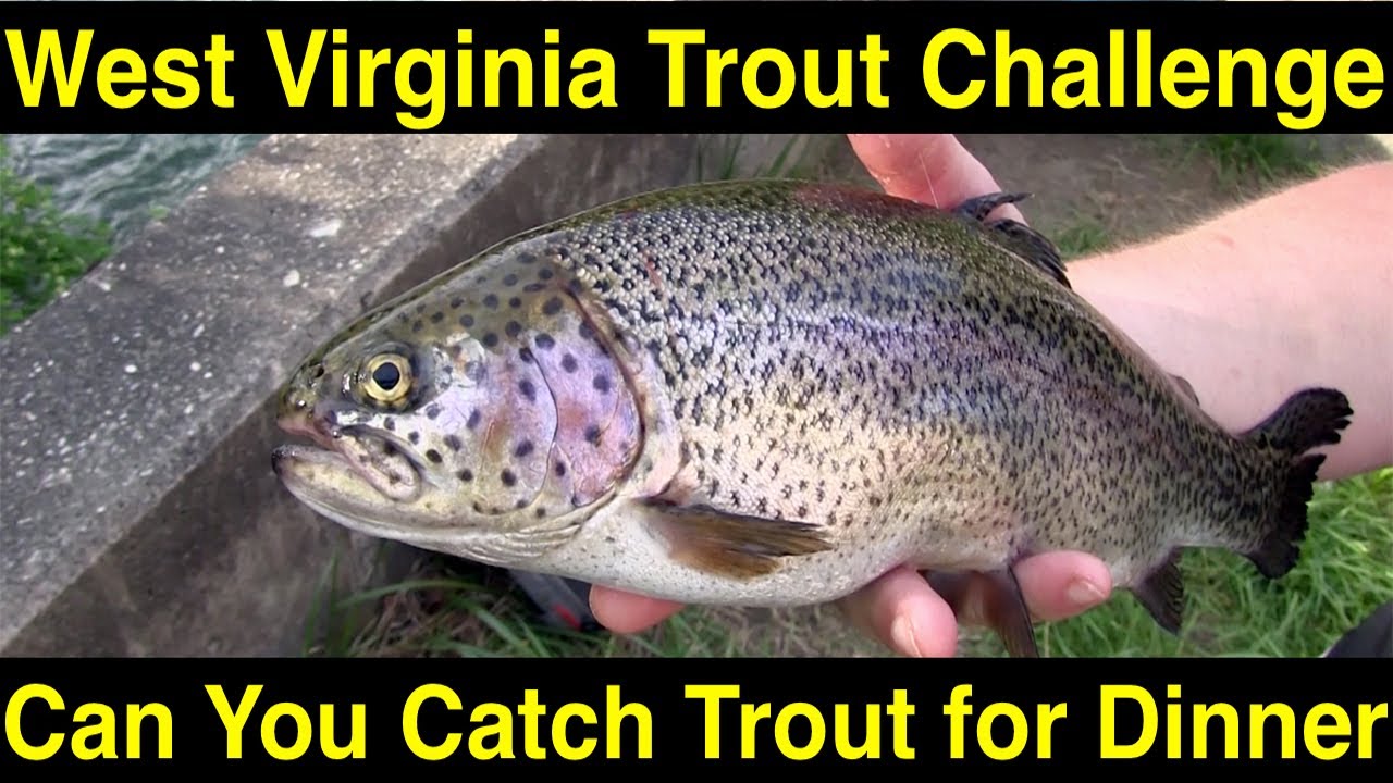 The West Virginia Trout Challenge - YouTube