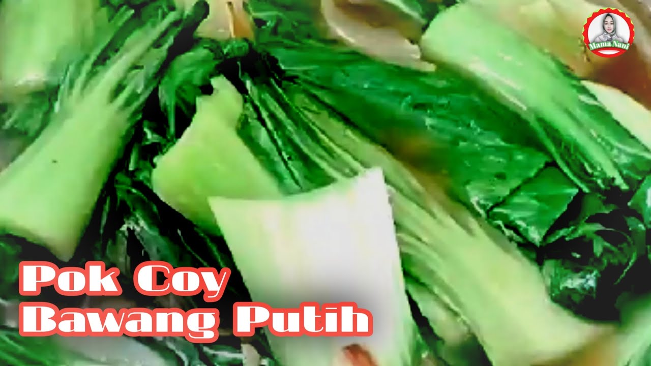 Pok Coy Bawang Putih, Menjadi Menu Favorit - YouTube