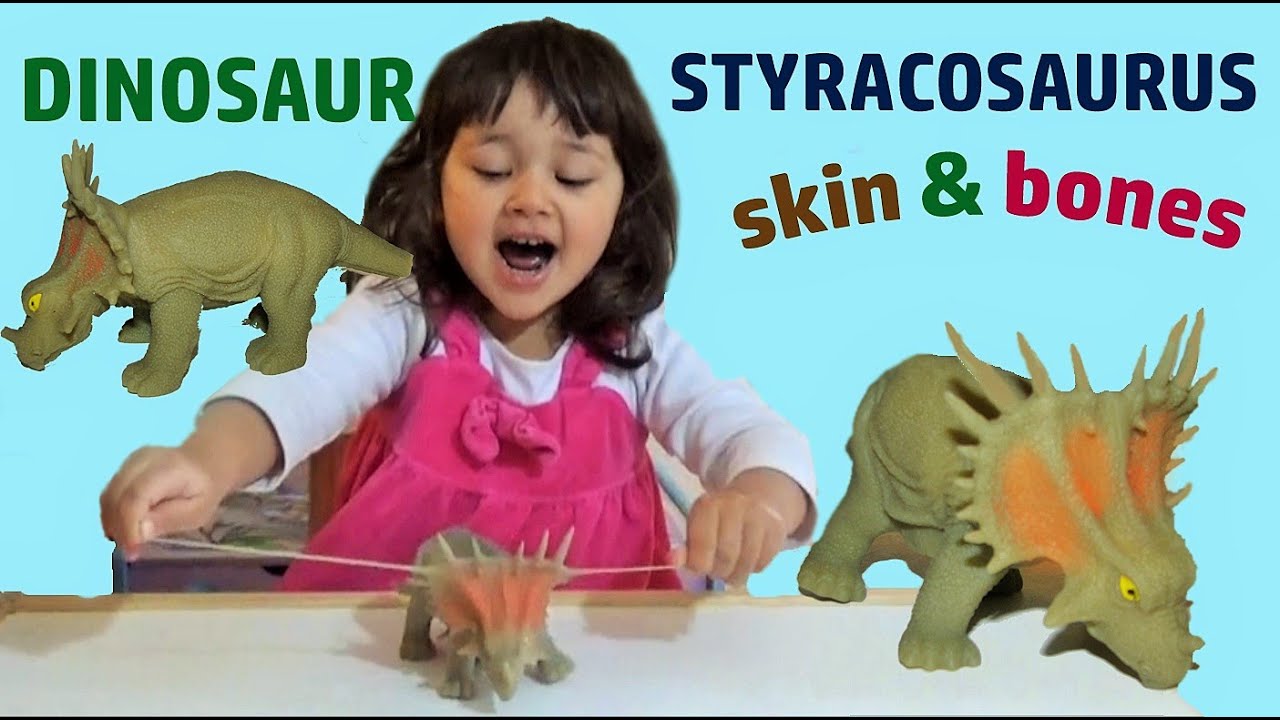 Dinosaur Styracosaurus Toy Skin and Bones Skeleton 3 Year Old Playing ...