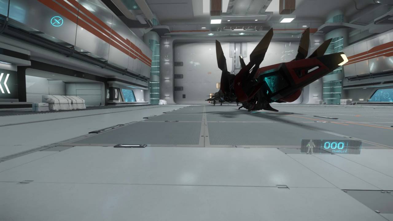 How to customize your hangar and ships in 2.4 Star Citizen - YouTube