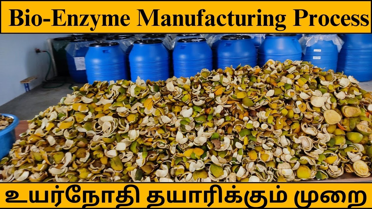 Bio-Enzyme Manufacturing Process/உயர்நோதி தயாரிக்கும் முறை/Arani ...