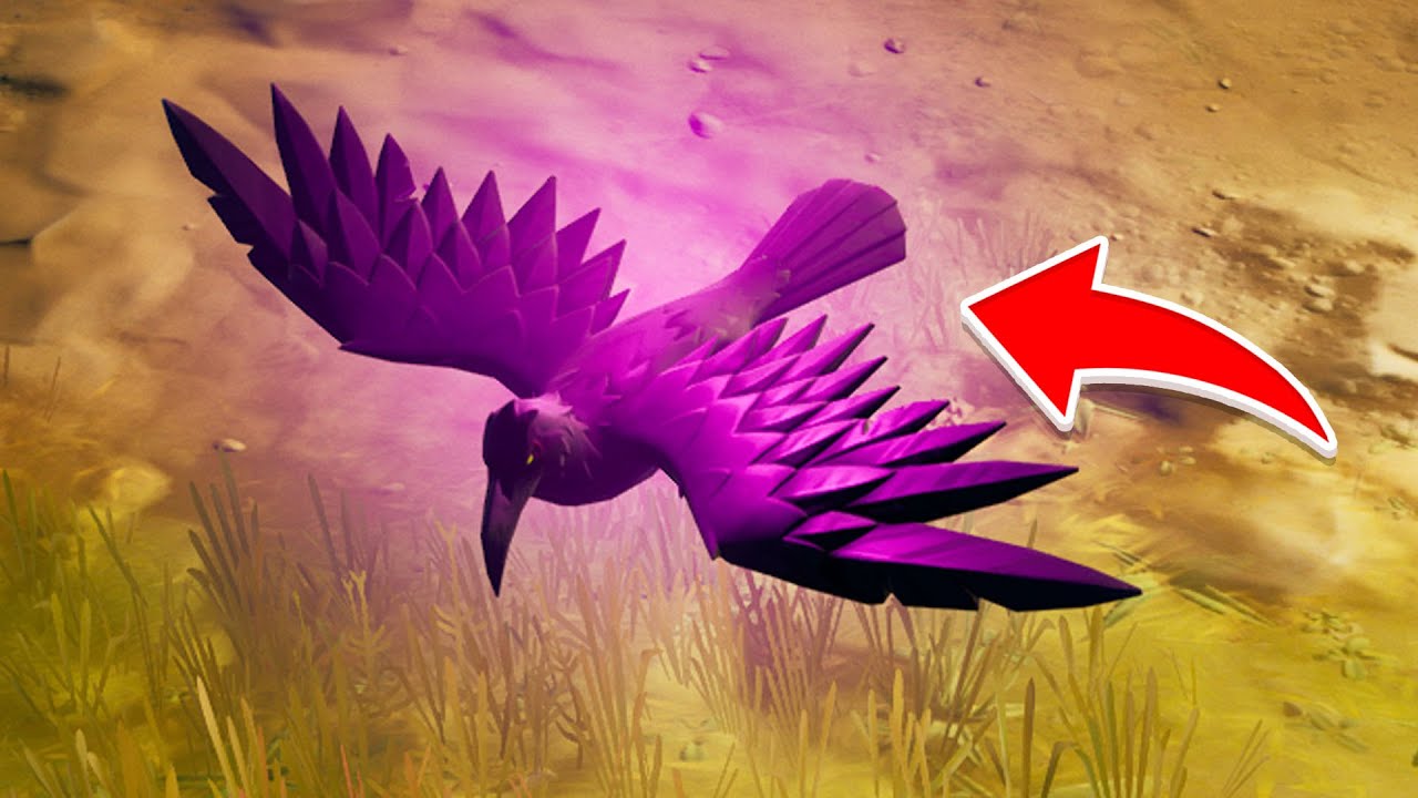 i Found A Purple Crow in fortnite - YouTube