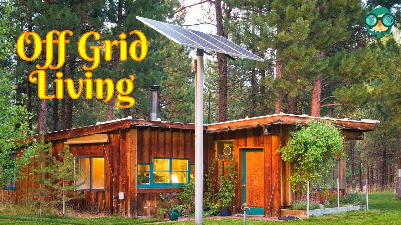 How to Live off the Grid with No Money? How to Survive Living off the ...