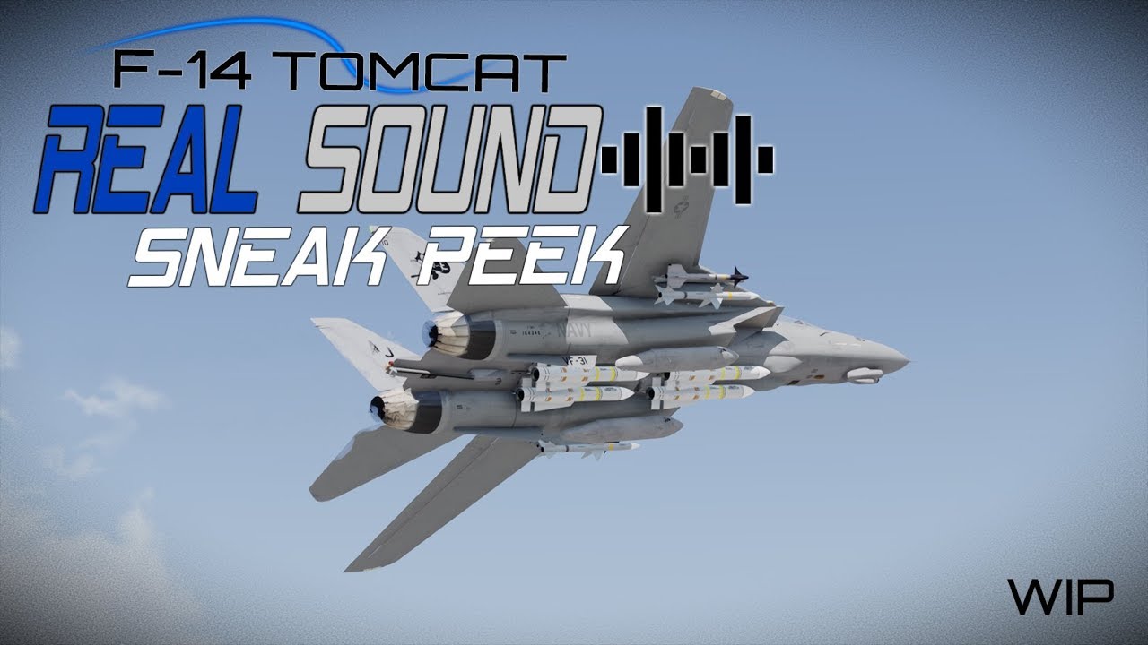 Real Sound F-14 Tomcat | Teaser / Sneak Peek! - YouTube