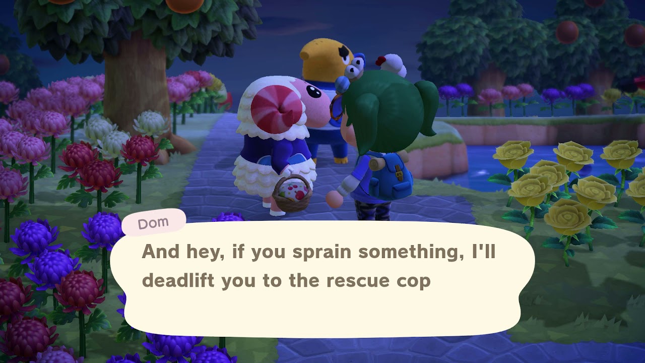 Animal Crossing New Horizons - Dom and Cyrano - YouTube