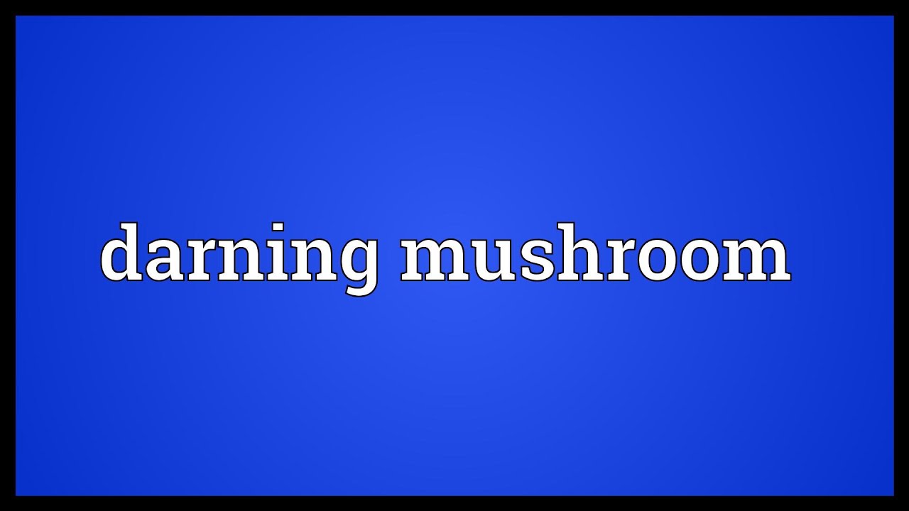 Darning Mushroom Meaning YouTube darning-mushroom-meaning-youtube